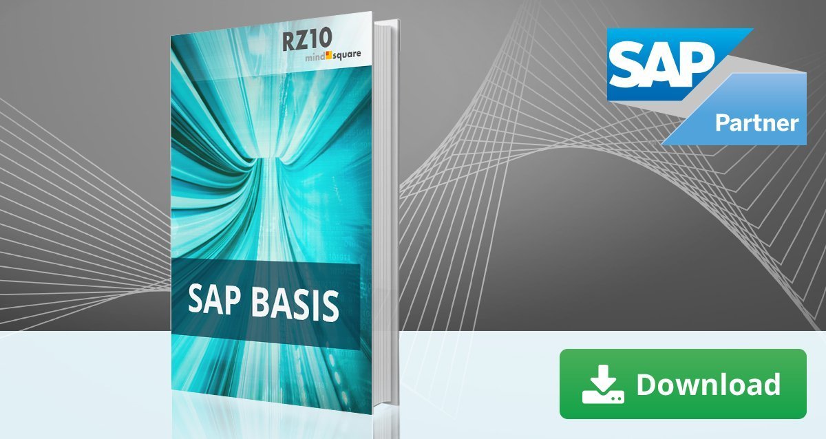 SAP Basis - Pflege und Wartung von SAP NetWeaver