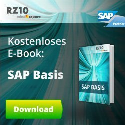 SAP Basis - Pflege und Wartung von SAP NetWeaver