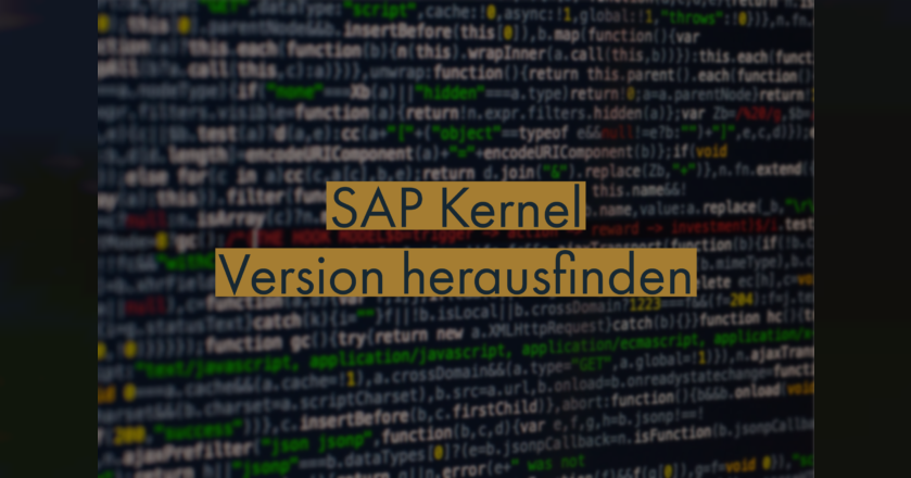 SAP Kernel Version: Version herausfinden & Fehler beheben SAP Kernel Version: Version herausfinden & Fehler beheben
