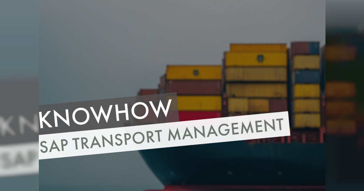 SAP Transport Management (TMS)