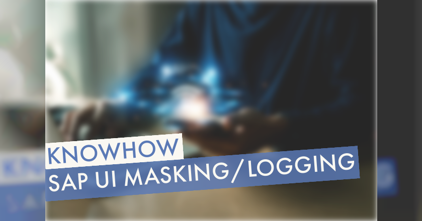 SAP UI Masking und UI Logging | Risiko & Kosten
