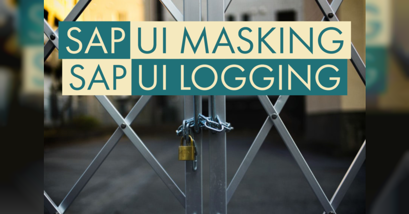 SAP UI Masking und UI Logging | Risiko & Kosten