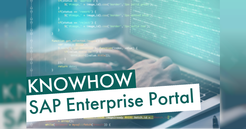 SAP Enterprise Portal - Funktionen und Ziele