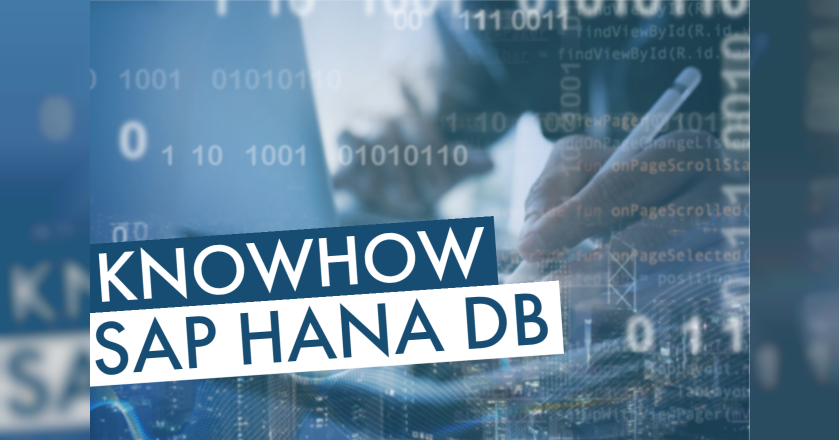 SAP HANA DB - Architektur und Einsatzbereiche