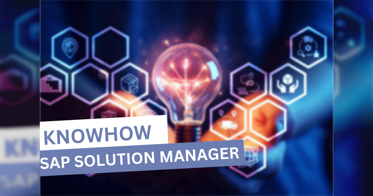 SAP Solution Manager kurz erklärt