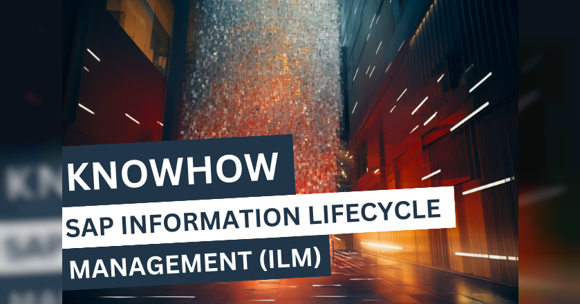 SAP Information Lifecycle Management (SAP ILM) im Überblick