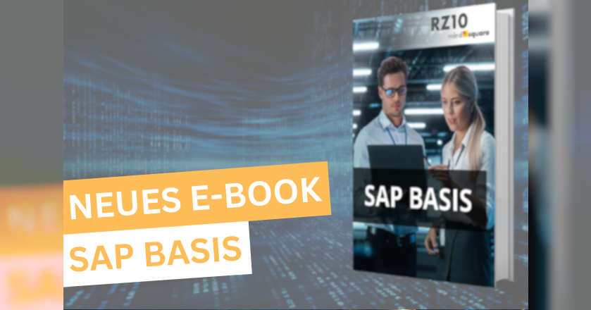 SAP Basis als kostenloses E-Book zum Download