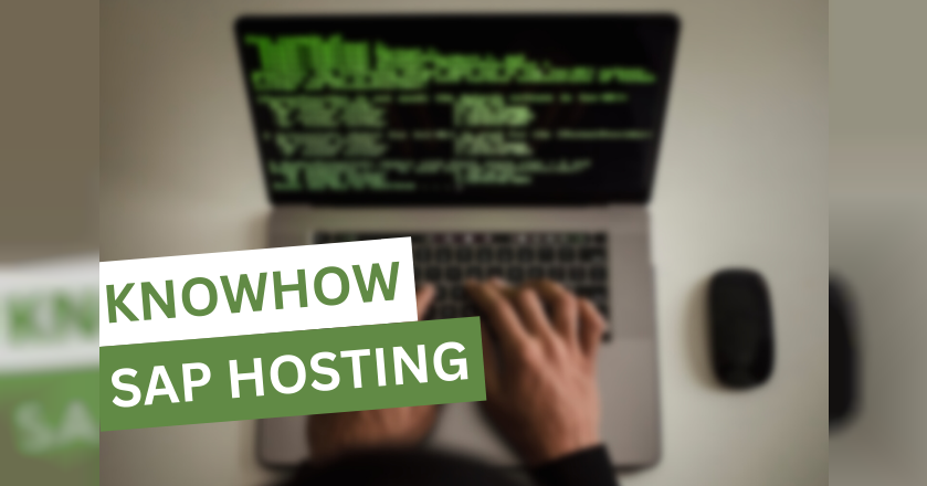 SAP Hosting - Formen, Vorteile & FAQ