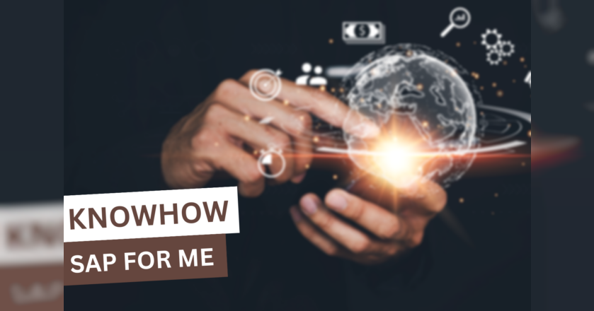 SAP for Me | RZ10