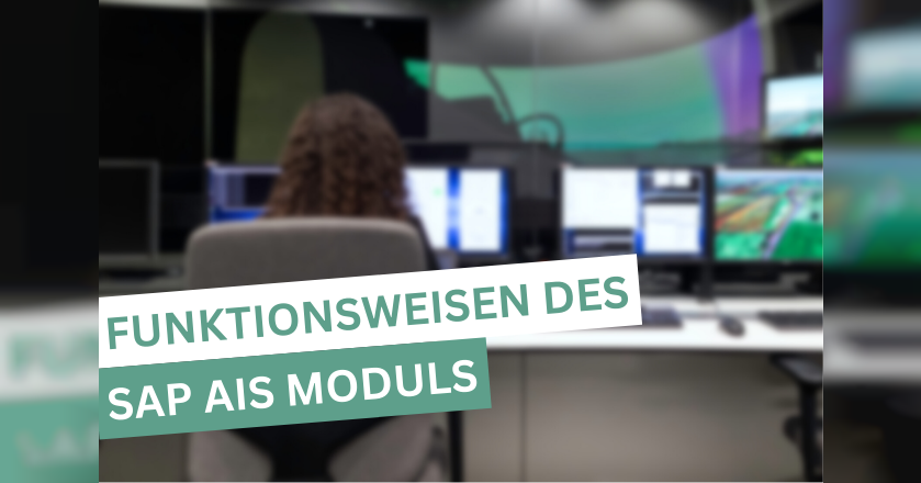 Funktionsweisen des SAP AIS Moduls