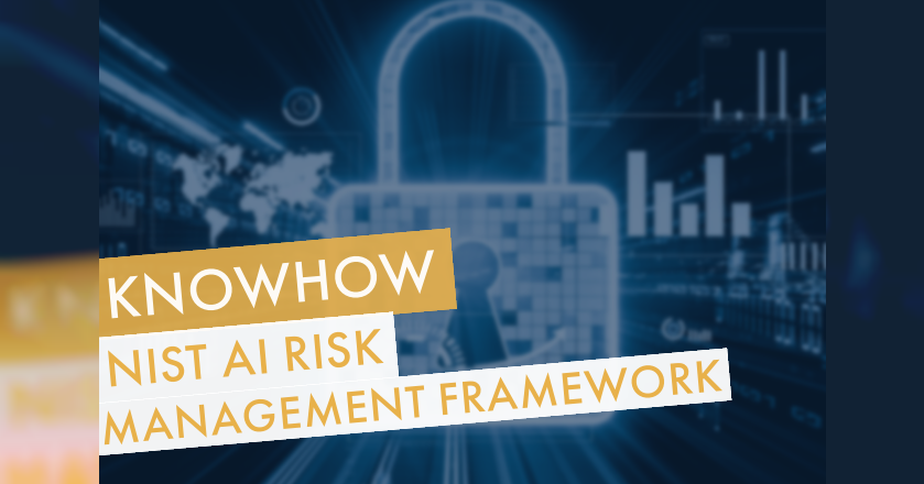 NIST AI Risk Management Framework | RZ10