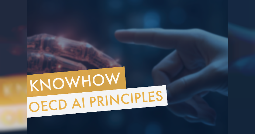 OECD AI Principles | RZ10